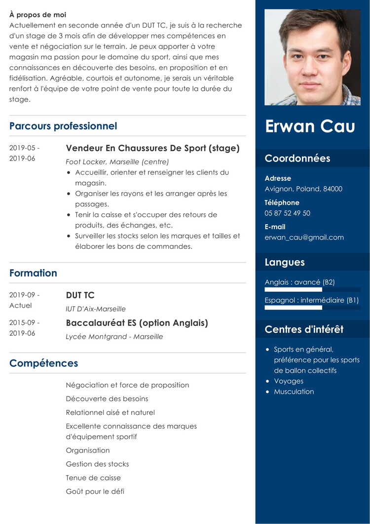 CV vierge à remplir 2026 : modèles prêts à télécharger