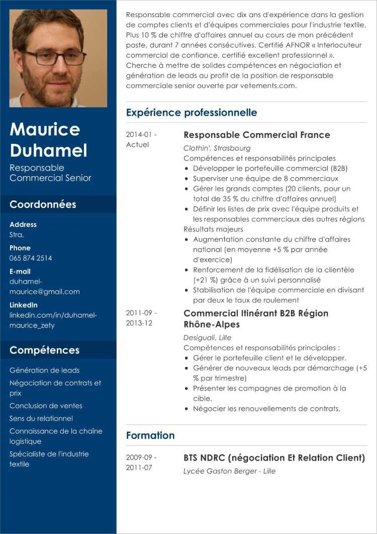 CV commercial : exemple, modèles et conseils en 2025