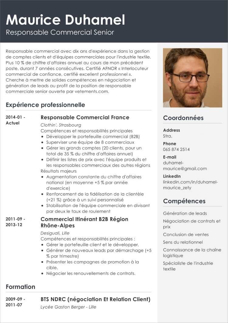 CV commercial : exemple, modèles et conseils en 2025