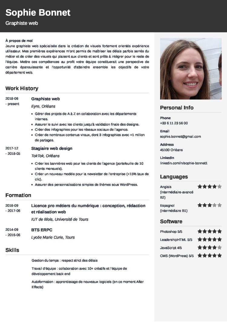 Structure d'un CV: plan et organisation des sections (exemple)