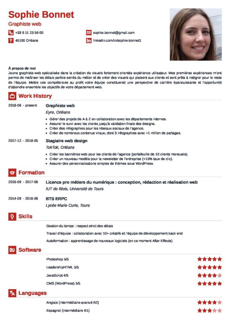 Structure d'un CV: plan et organisation des sections (exemple)